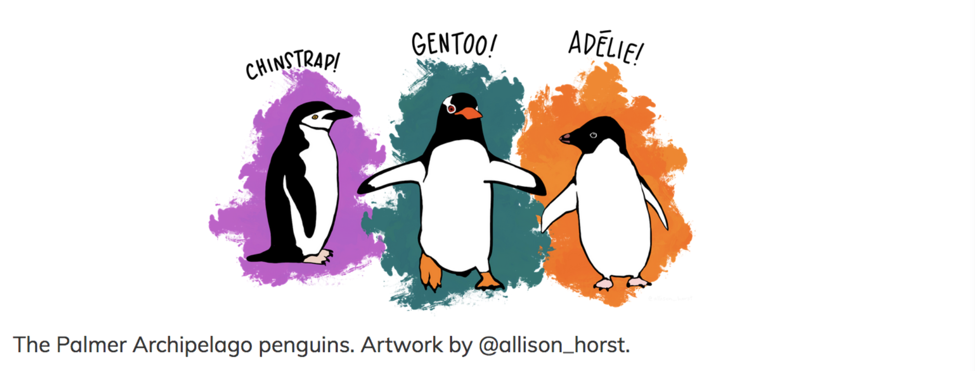 More Hypothesis Testing